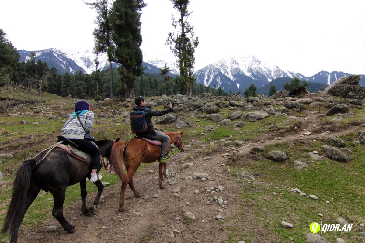qidr.an ©: Kashmir 2014 | Day 3 Pahalgam : Pony ride