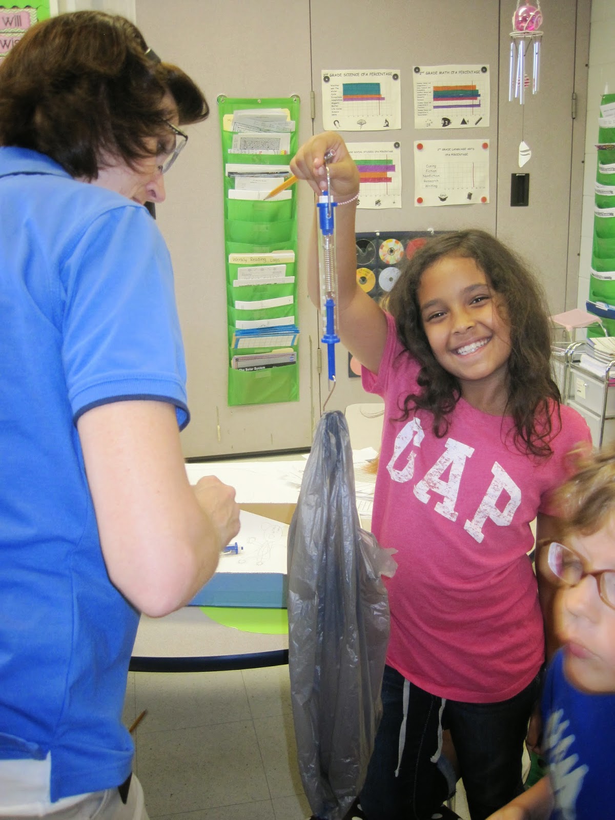 Flamingo Fabulous: Measurement Fair!