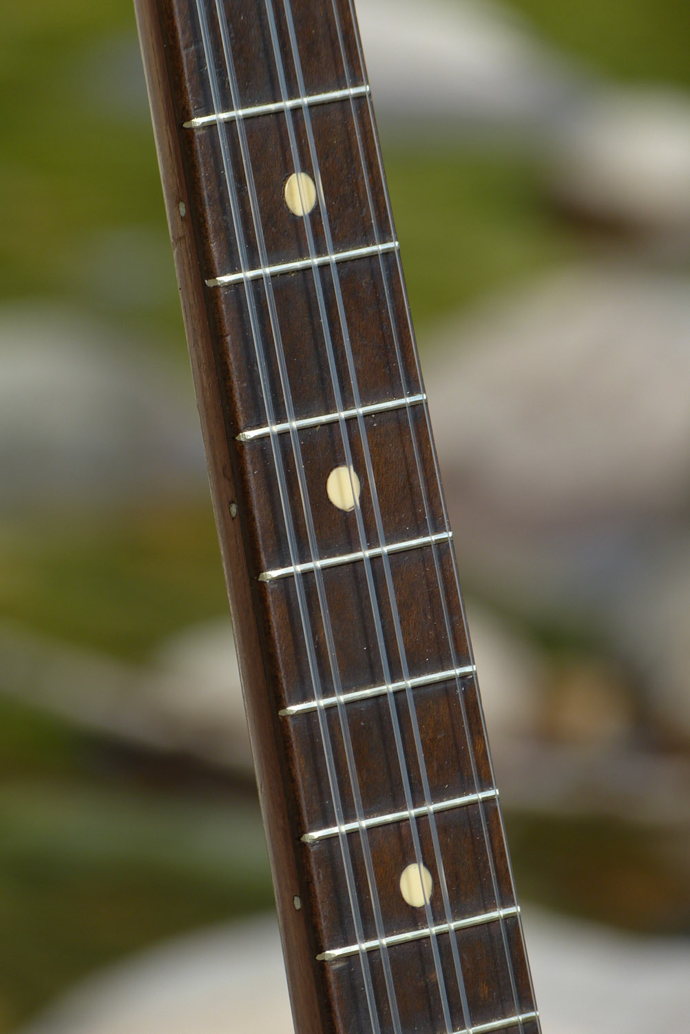 Jake Wildwood: 1920s Favilla 6-String Balalaika