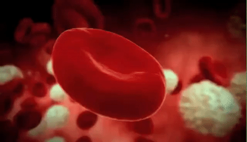 TIPOS DE HEMOGLOBINA