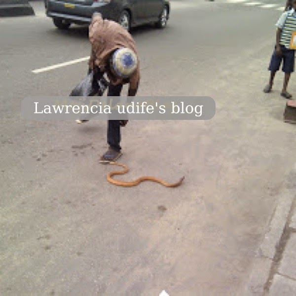 PHOTOS: MAN SWALLOWS LIVE SNAKE, VOMITS IT ALIVE UNHARMED IN LAGOS ...