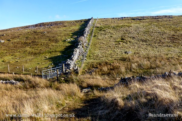 Sand's Nature Walks: Cribarth - Part 1 - 7 March 2014