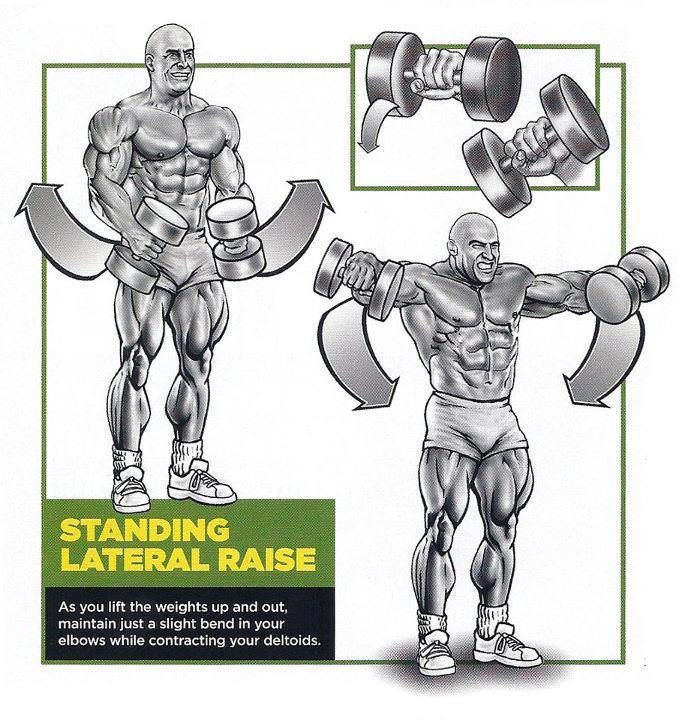 Standing Lateral Raise