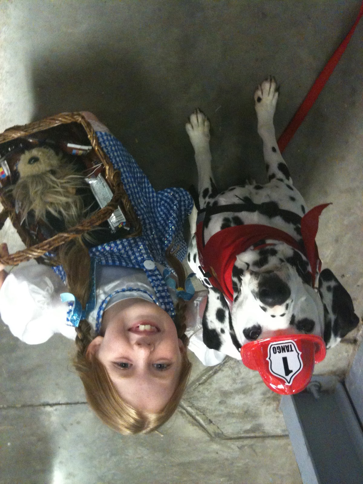 Sparkles the Fire Safety Dog: Vote for Tango the Fire Safety Dog for ...