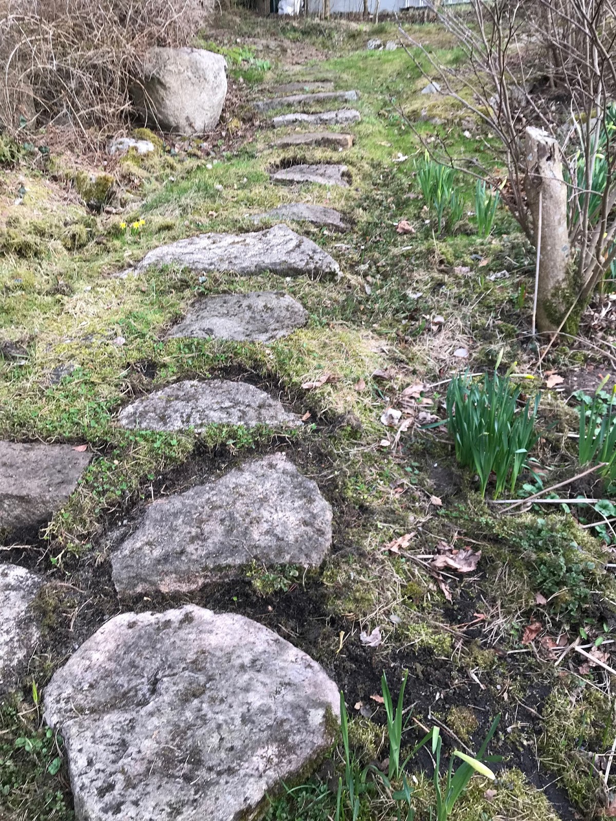 Vilt og vakkert: Til inspirasjon...