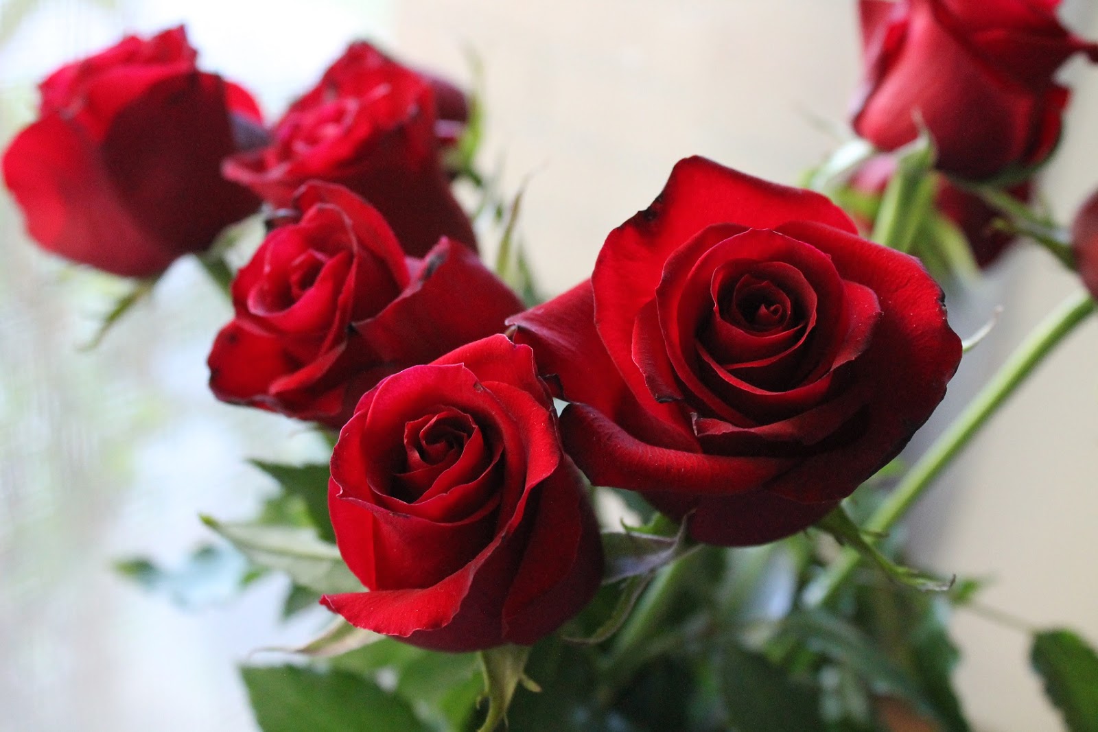 umiyumi2 : our life in perth, WA: Ros merah hati dan telur yang tak ...