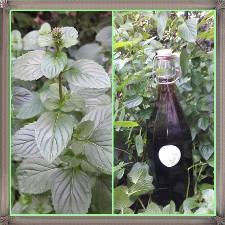 Maedchenfarbe: Minze