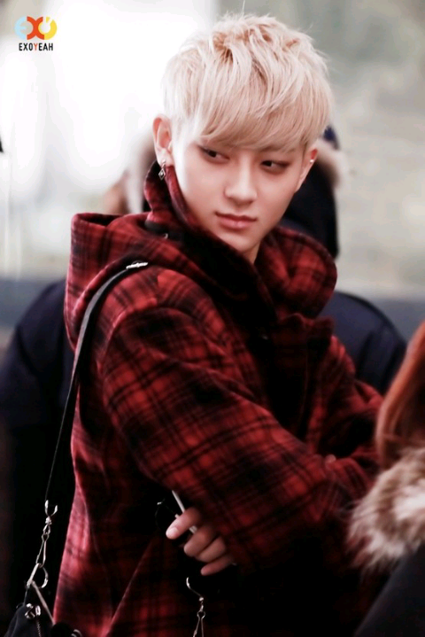 Voshow's Blogger: K-pop Big Trend EXO part 12 ( about Tao)