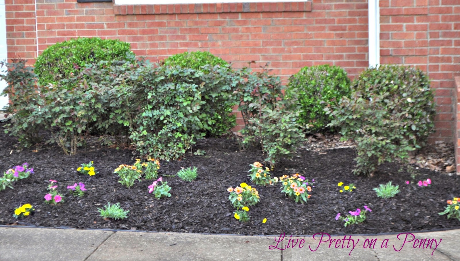 Spring Refresh: Planting for Curb Appeal - Live Pretty on a Penny
