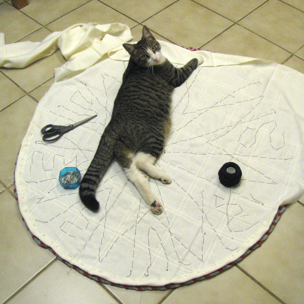 Glass Notes: DIY Project: Recycled T Shirts Rag Rug, aka Cat Mat