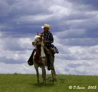 American History: The American Cowboy