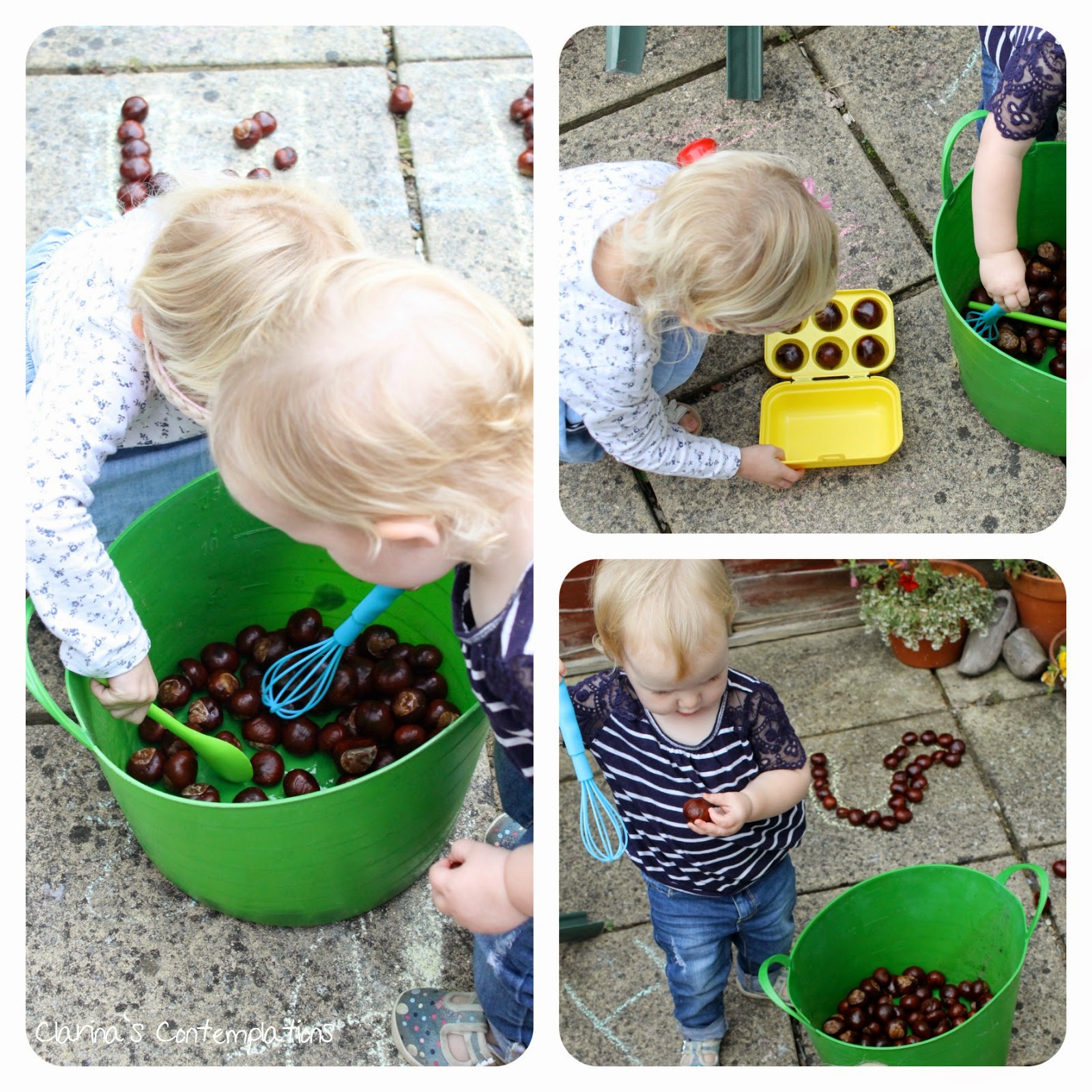 Life Round Clarina's: Five things to do with Conkers: Savouring the Season