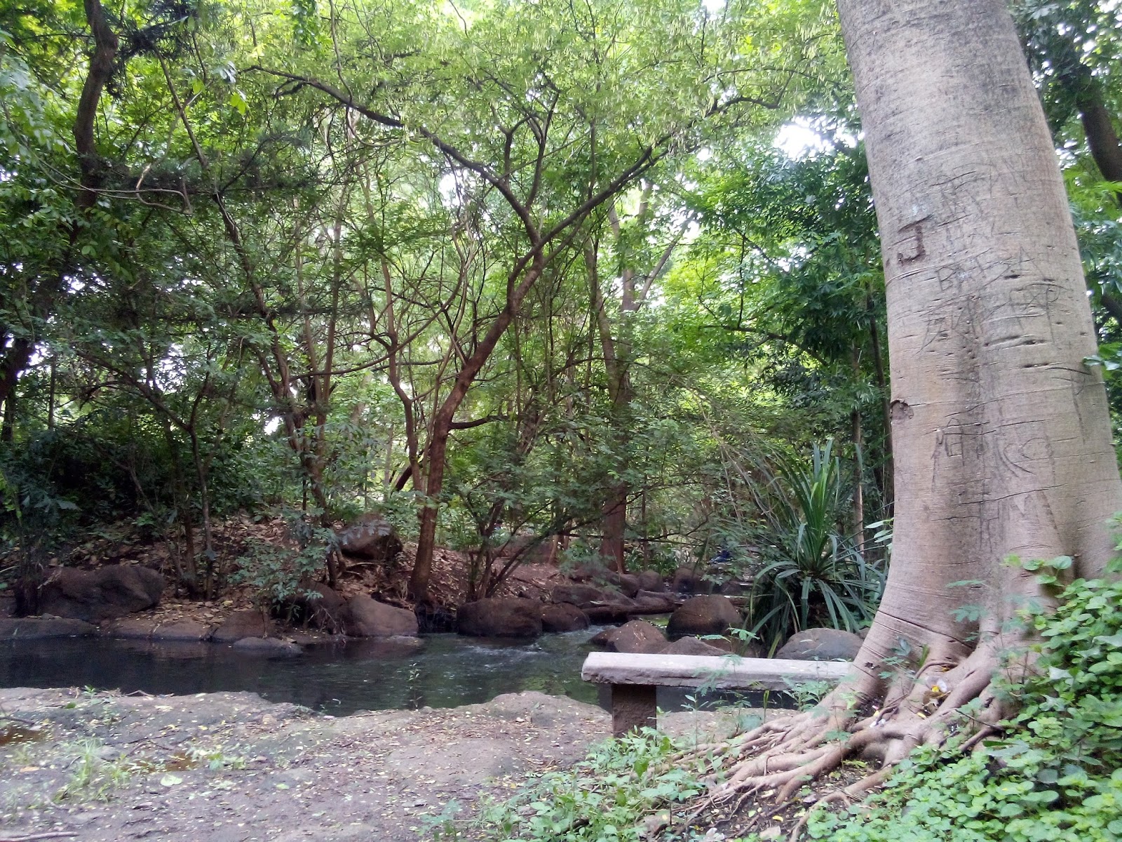 PVP College of Architecture, Pune.: Site Visit: LAES III - Osho Teerth ...