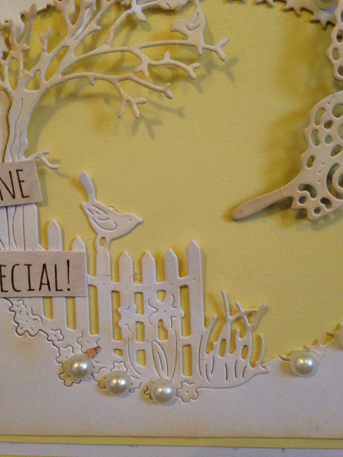 carley's creations: craft adventures with Tattered lace USA