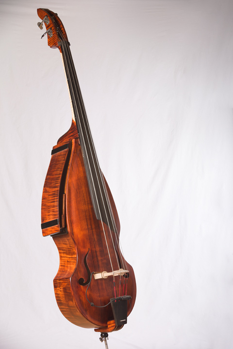 Roberto Franceschini: Contrabbasso travel