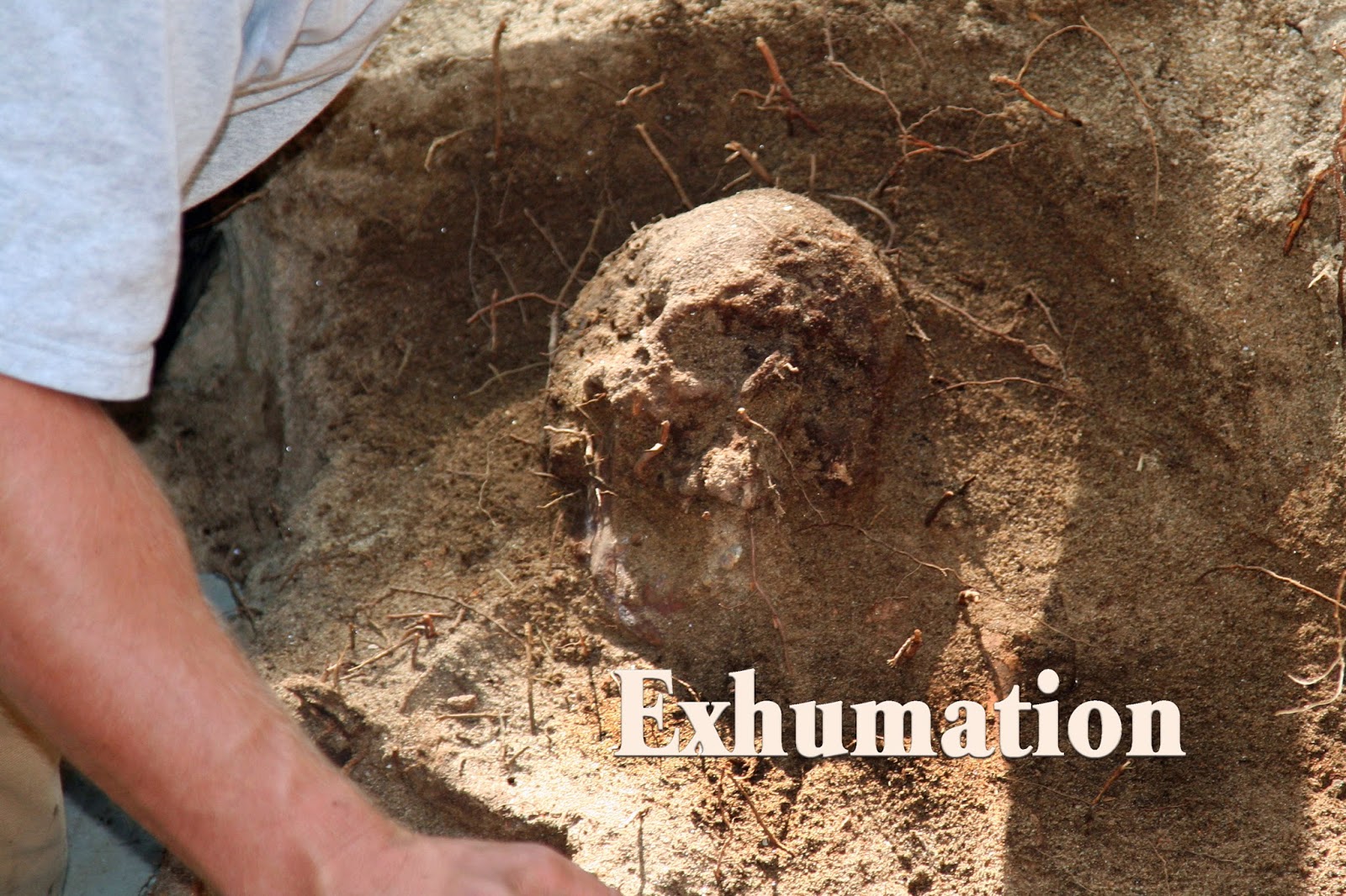Taphophile Corner: Exhuming the Dead. Warning: images may be disturbing ...