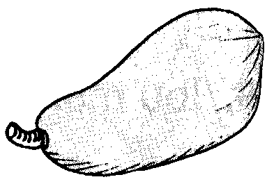 Sekitar Kawasan Sekolah: Gambar outline_Buah Sayur