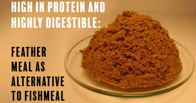 The Aquaculturists: 23/03/2017: High in protein and highly digestible ...