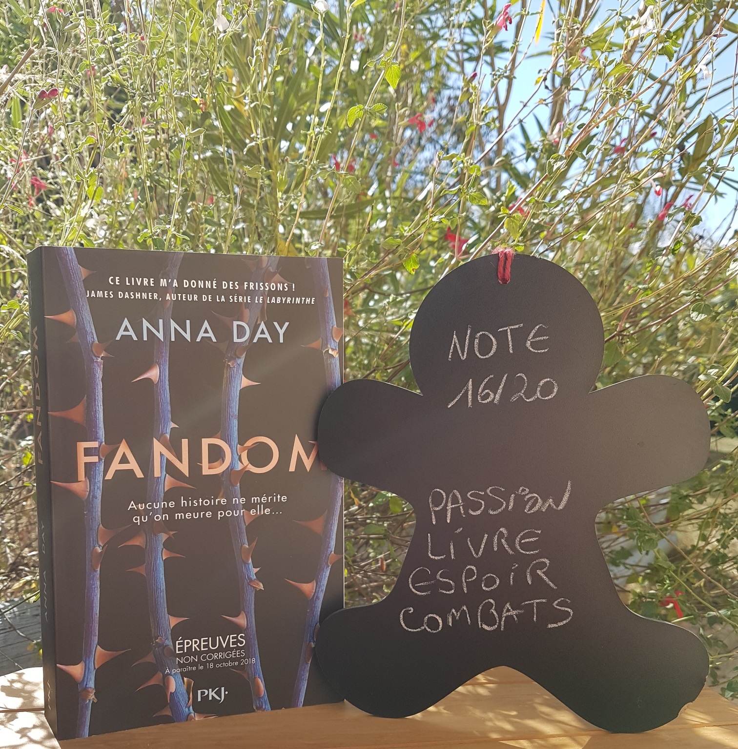 Les lectures de Mylène: Fandom de Anna Day