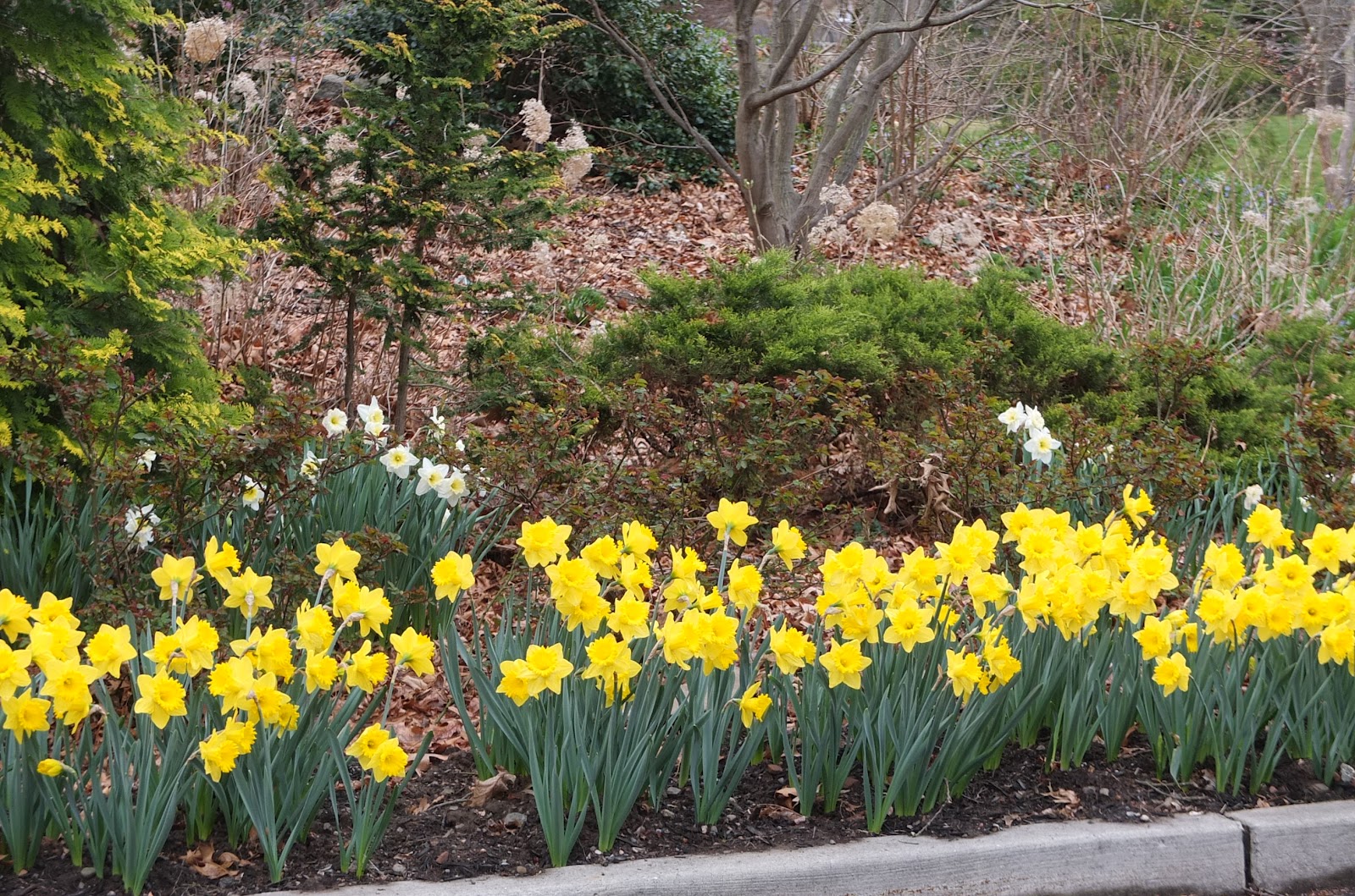 702 Hollywood: Spring Is In The Air