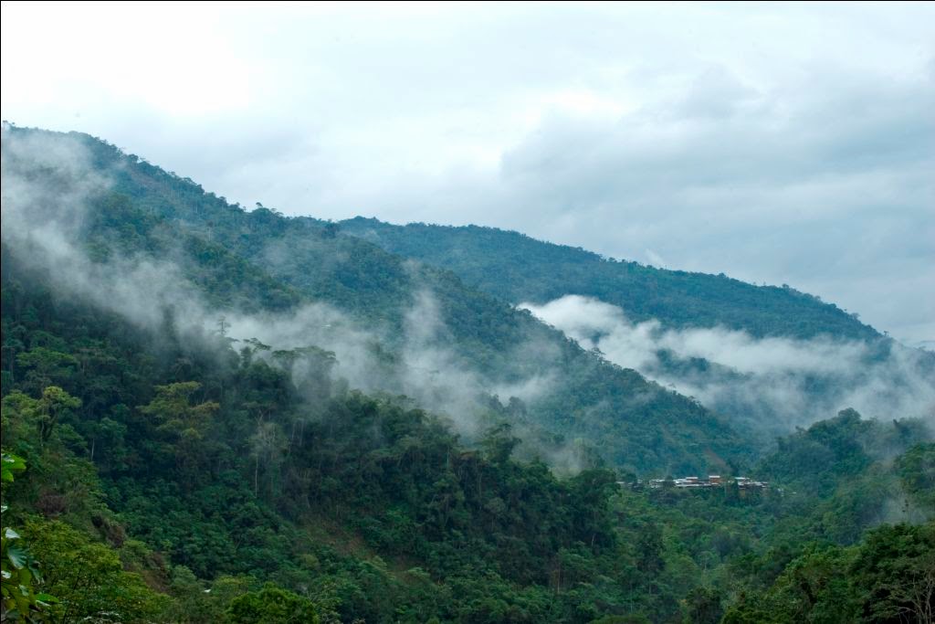 Ecorregiones y ecosistemas del Perù: ECORREGIONES Y ECOSISTEMAS DEL PERU