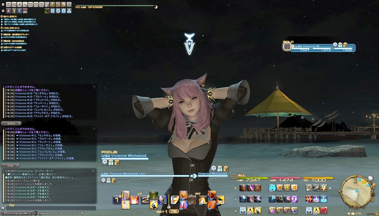 MMORPGを遊ぶ。: 【FFXIV】 HUDレイアウト集 Vol.1