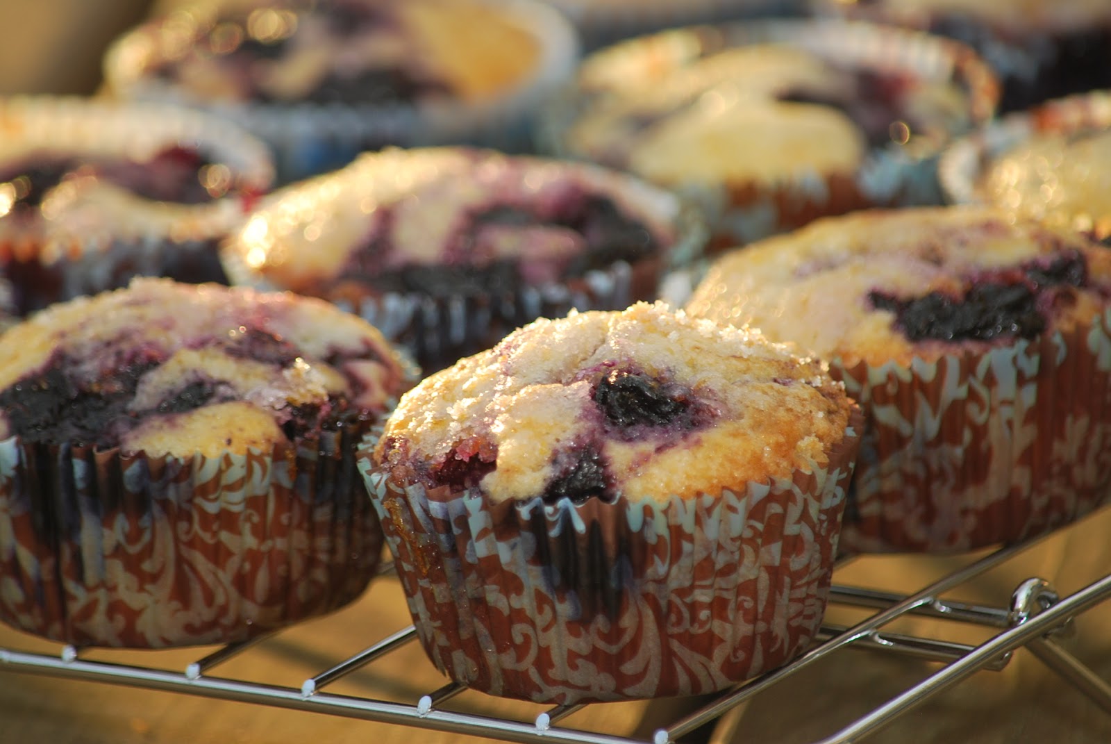 My story in recipes: Lemon Sugar Topped Blueberry Muffins