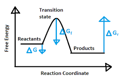 Year 11 Misadventures: Catalytic Power and Biological Efficiency