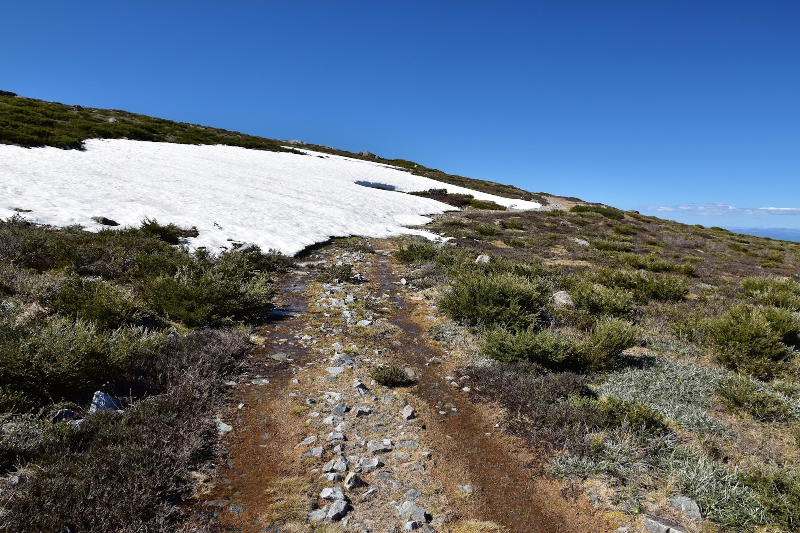 Goin' Feral One Day At A Time: Cope Hut to Big River, AAWT, Alpine ...