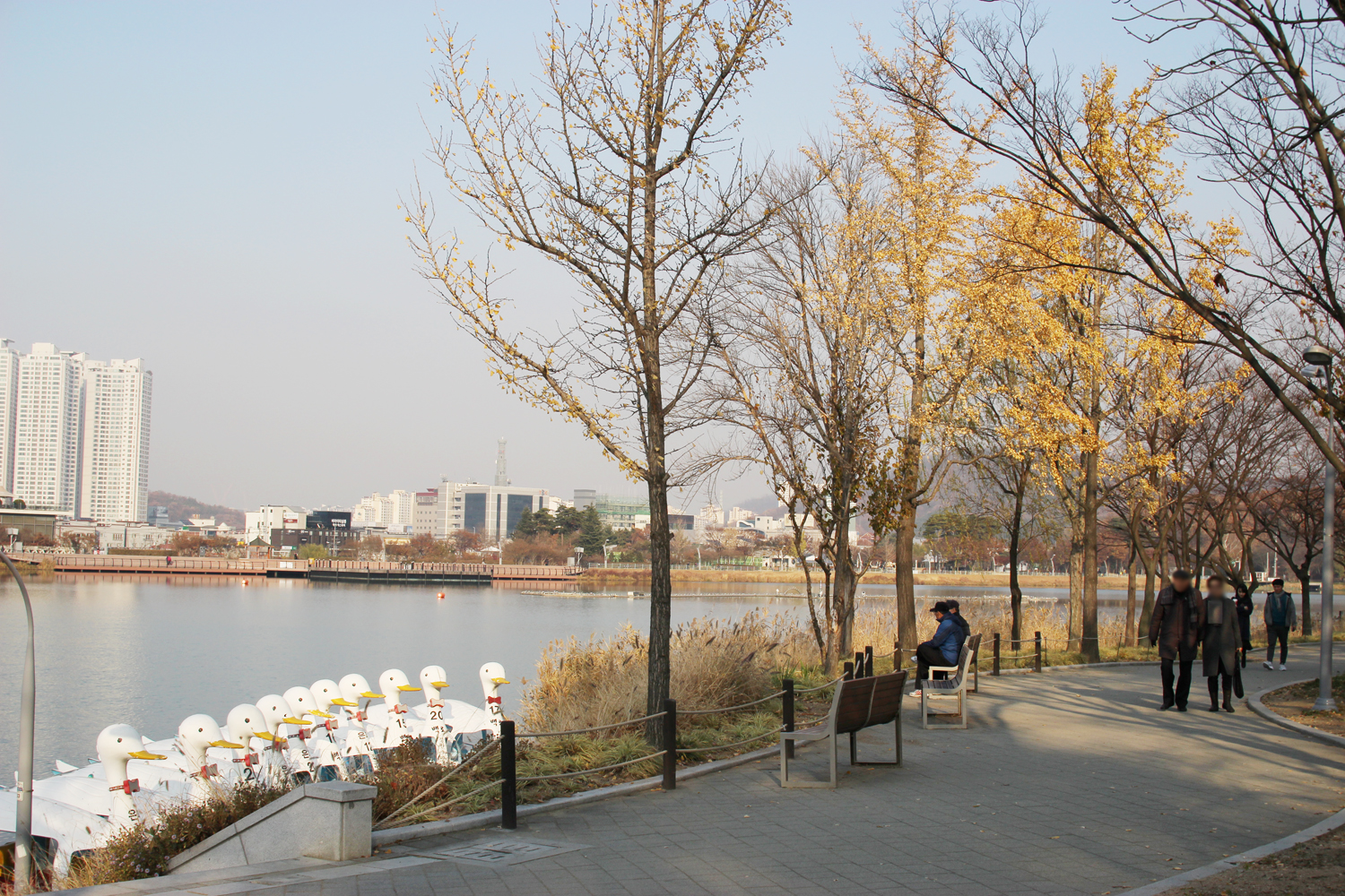 Fun & Free Daegu Travel: 2018| Dog-themed Things to do in Daegu, Korea