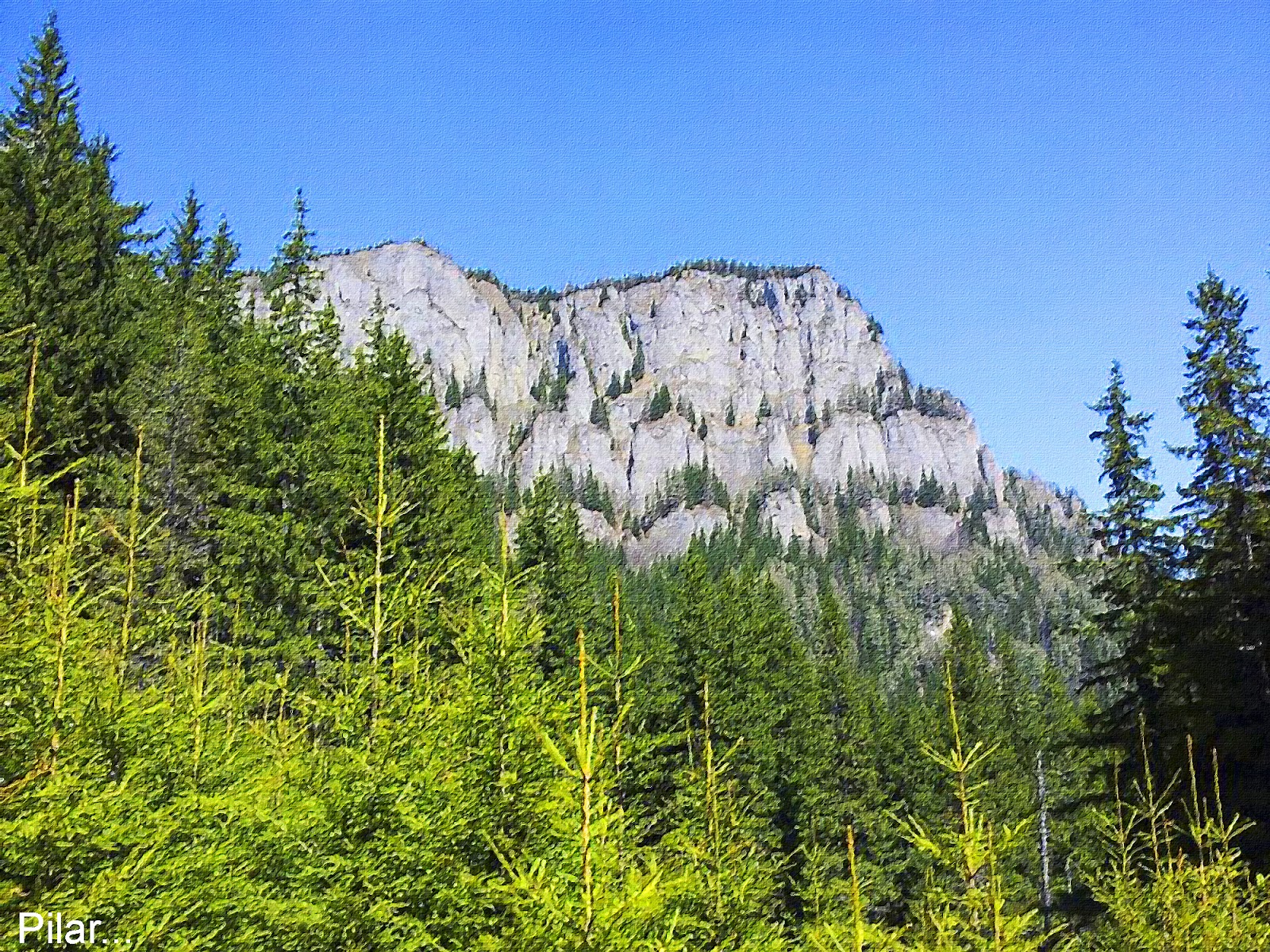 PILAR Y SUS COMPLICES: MACIZO CEAHLAU -CARPATOS-RUMANIA.