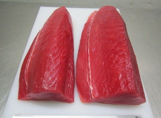 Frozen Tuna Fish, Frozen Tuna Loin, Frozen Tuna Fillet, Frozen Tuna ...