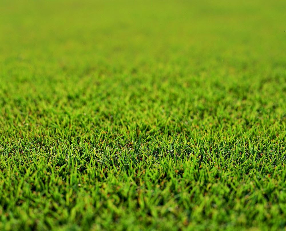 Blueish Green: Relva Sintética - Manutenção