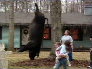 /Bet you didn’t know?