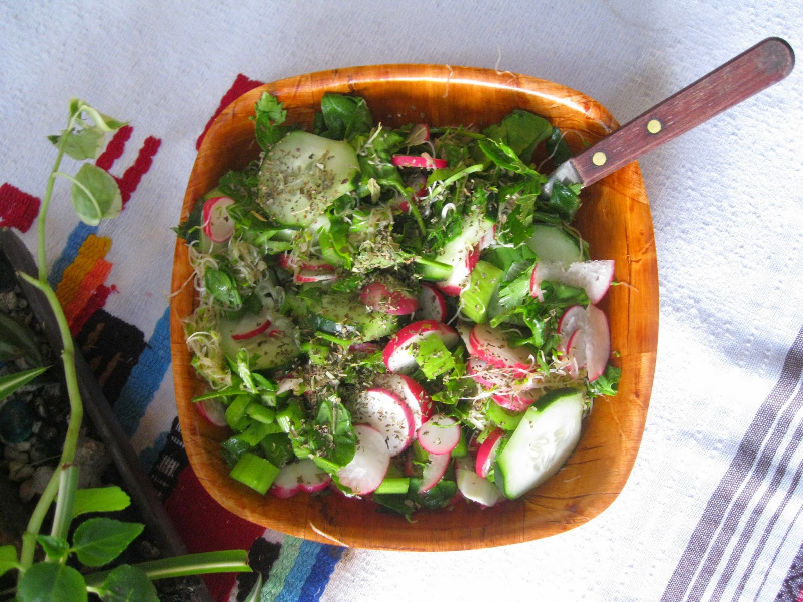La Oveja Verde Feliz: Ensalada de rábano y apio