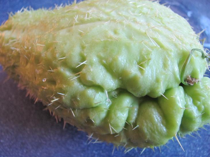 International food blog: LATIN: Chayote Squash information, recipe and ...