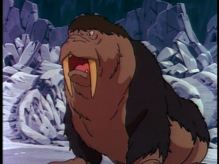 Erin's Blog: The Woolly Walrus