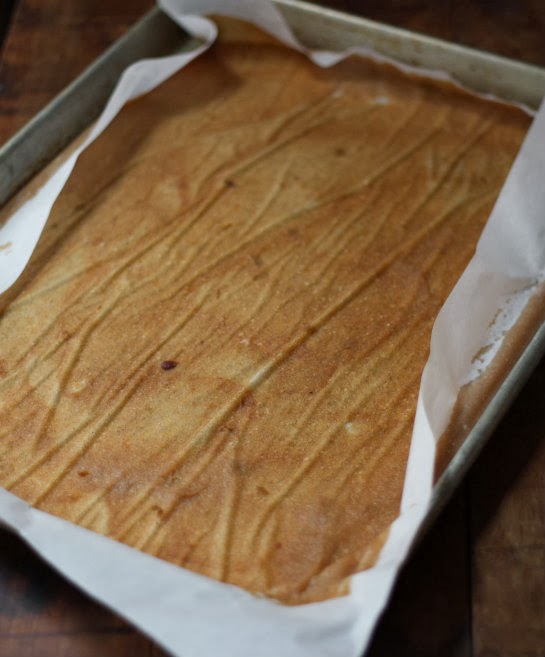 Origins Farm: Natural Cinnamon Apple Fruit Leather | 17 Apart