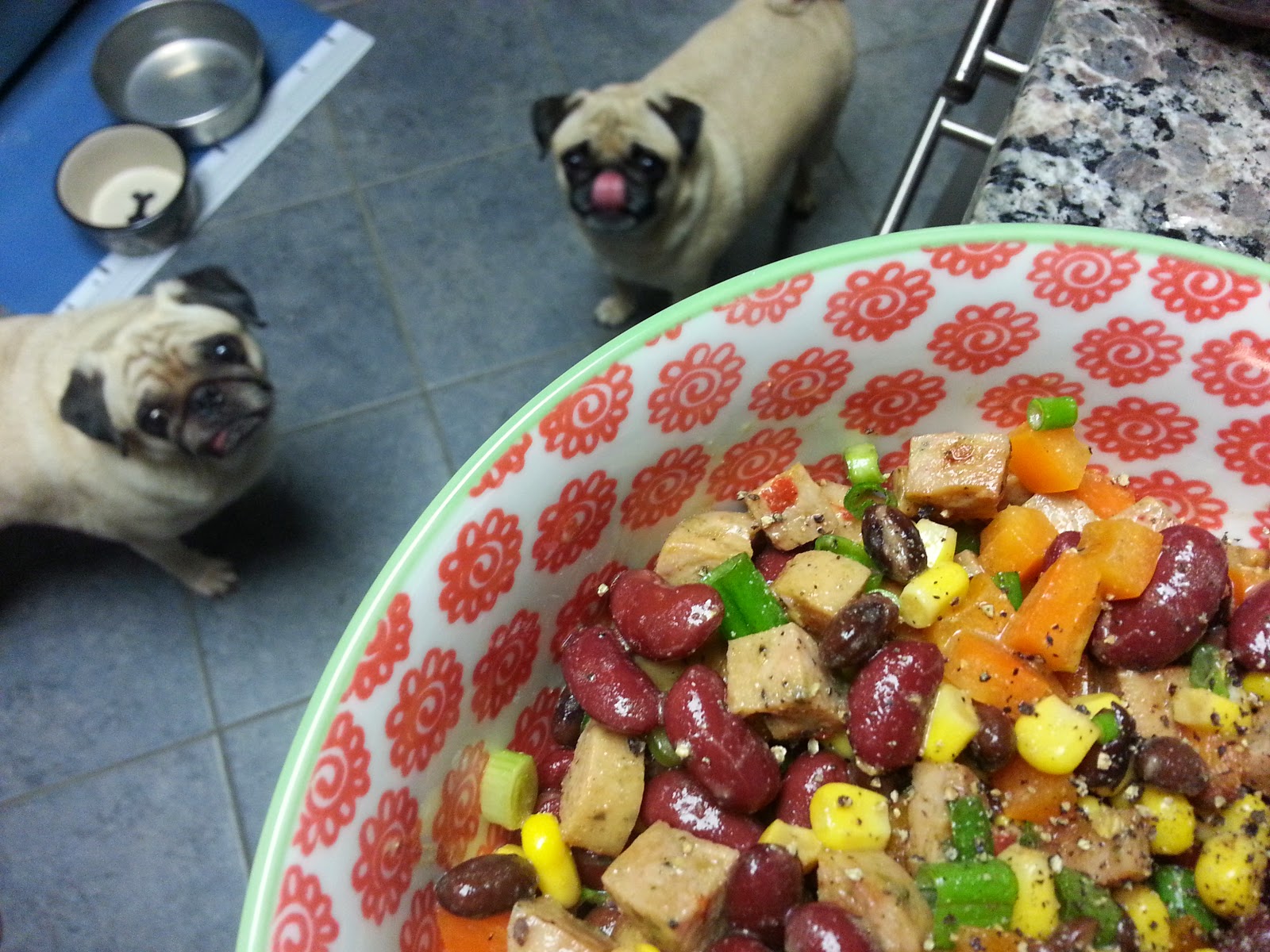 Grubbin' Pugs