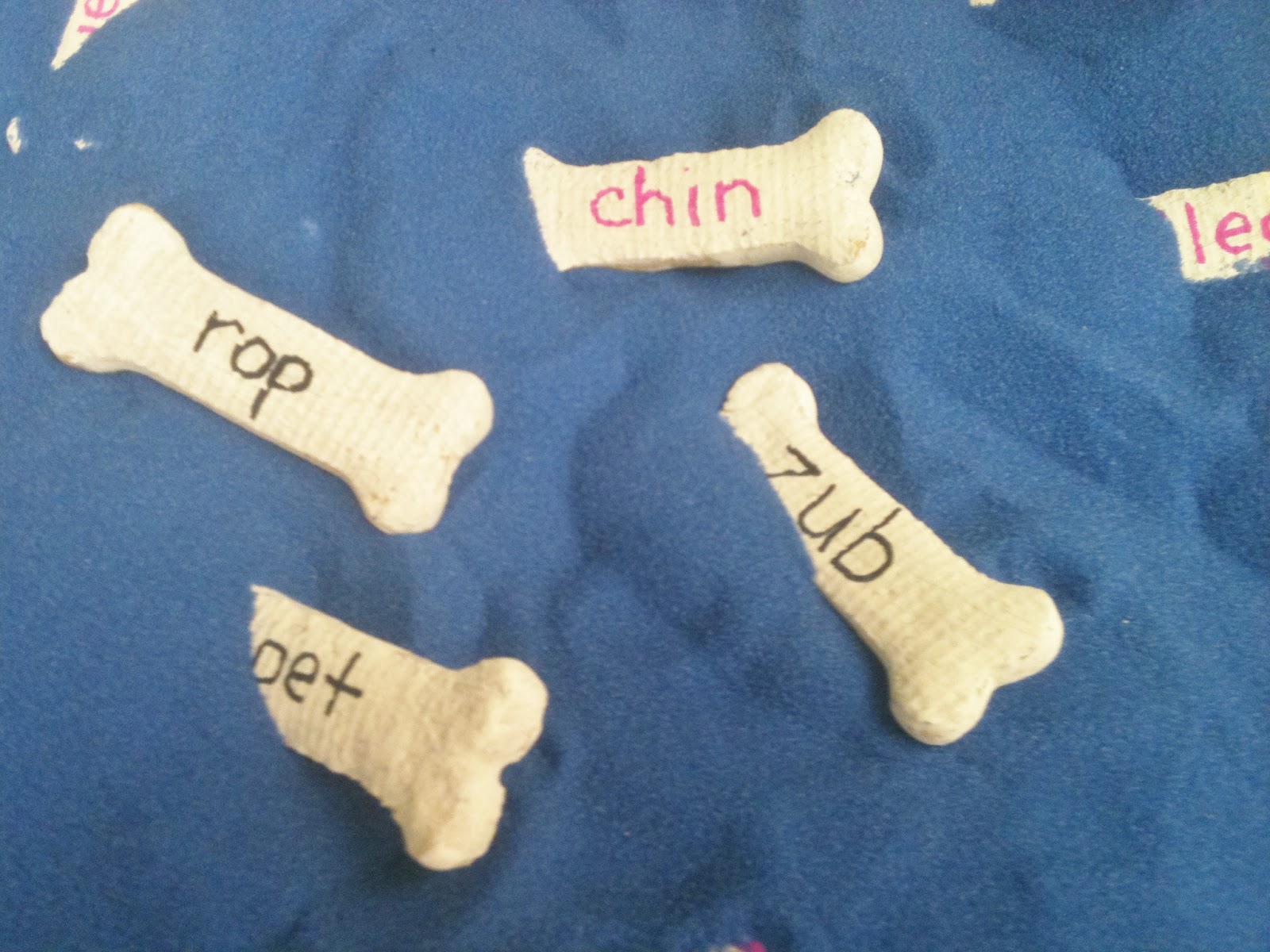 What's in your sand table? . . . diggin' for nonsense bones and a ...