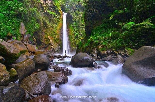 Descriptive Text (2)