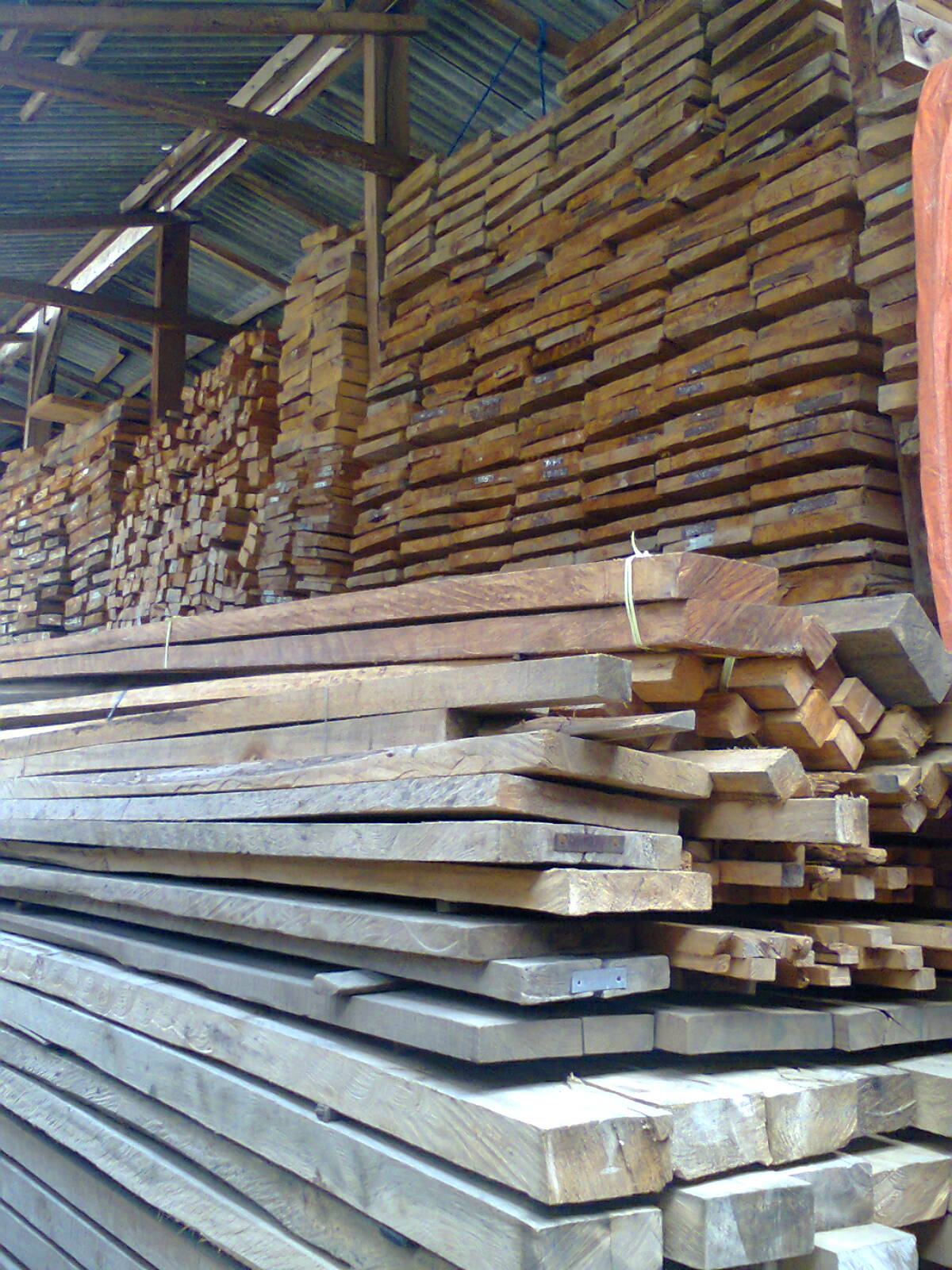 PANGLONG KAYU PRANATA