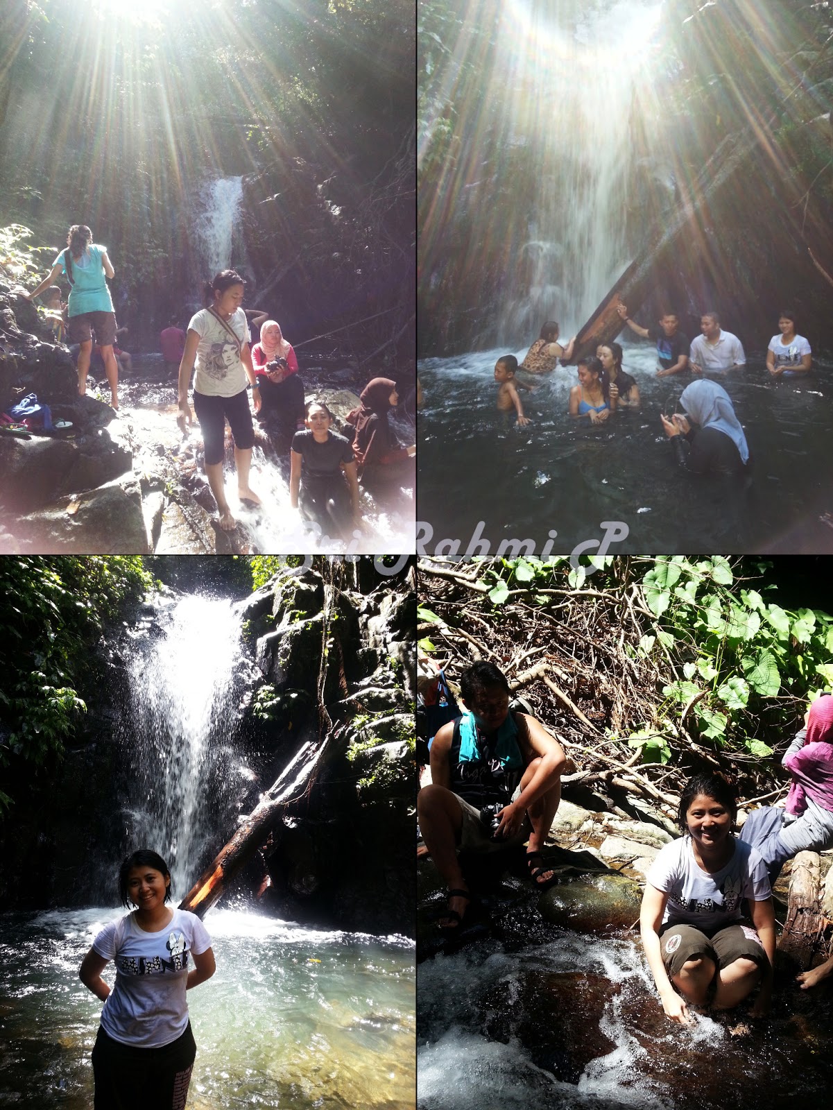 La Mia Giornata: Eksplorasi UK dan Transplantasi Terumbu Karang