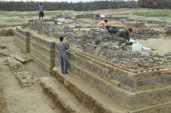 Adulis: New Fossil Findings Discovered - Madote