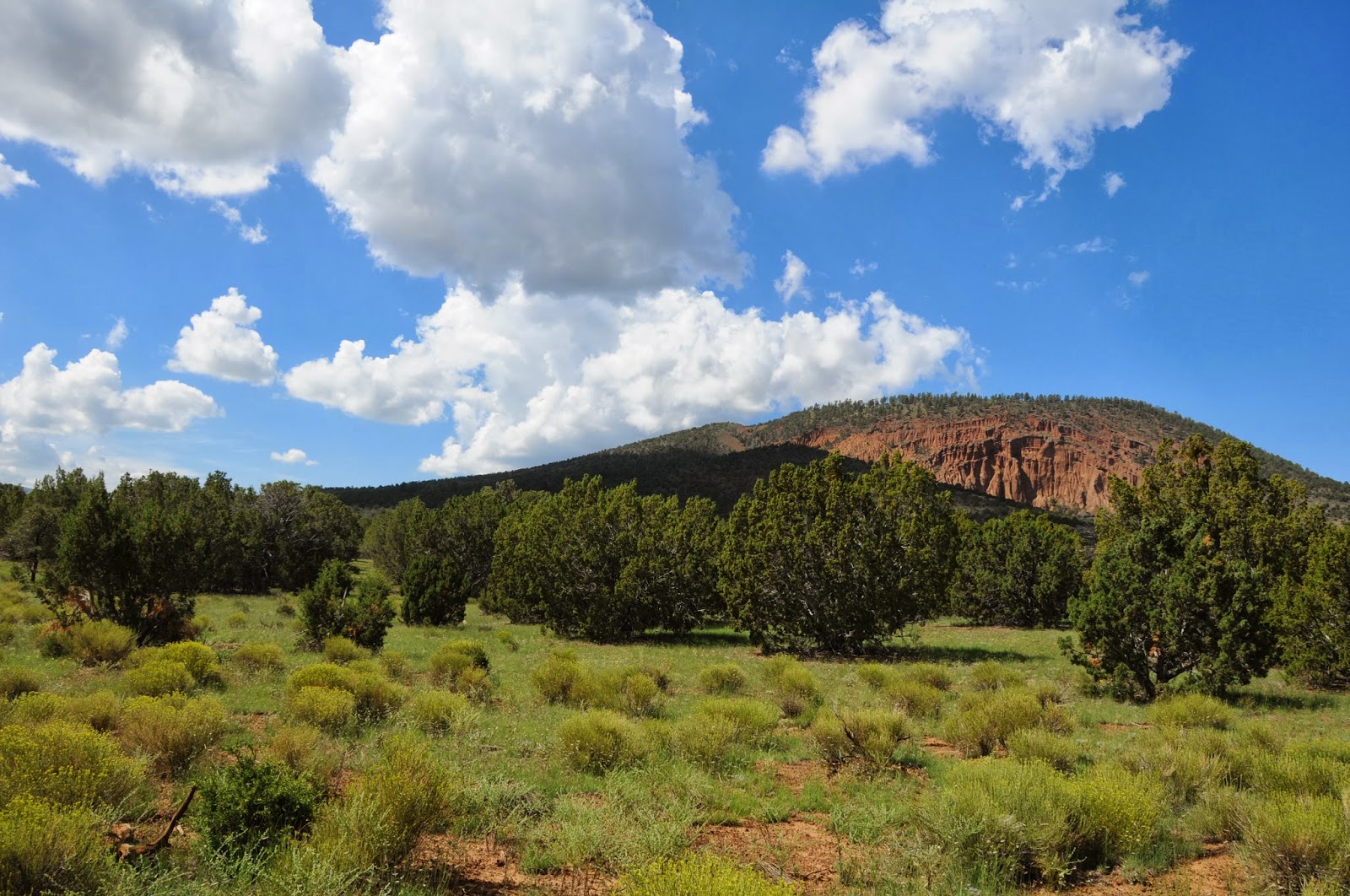 Arizona Hiking: RED MOUNTAIN