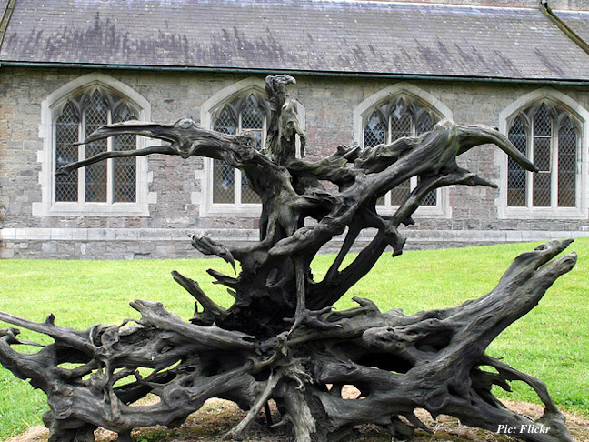 The Ever-Living Ones: Dark Spirits of the Bog