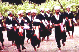 Janapada Parel : Folk dances of Karnataka