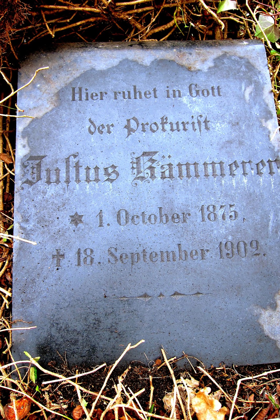 Altes und Neues von Bernd Nowack, Dessau: Paul Riess, der Sieglitzer ...