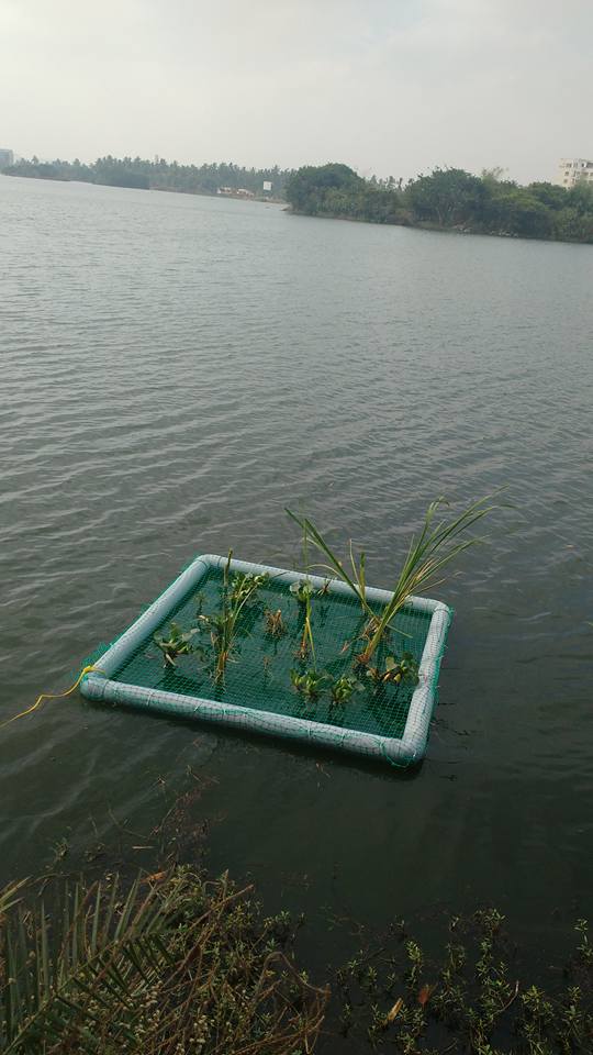 Biome Trust: Citizen Science Project: Building Floating Wetlands in ...