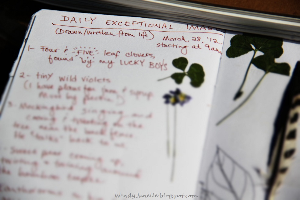 Living Creatively: 10 Ways to Vary Your Nature Journal Layouts